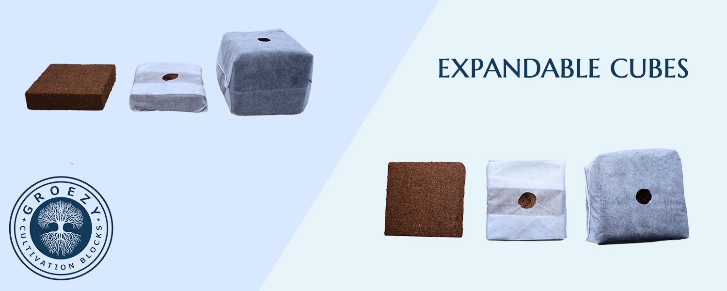 Coco Cubes - GroEzy